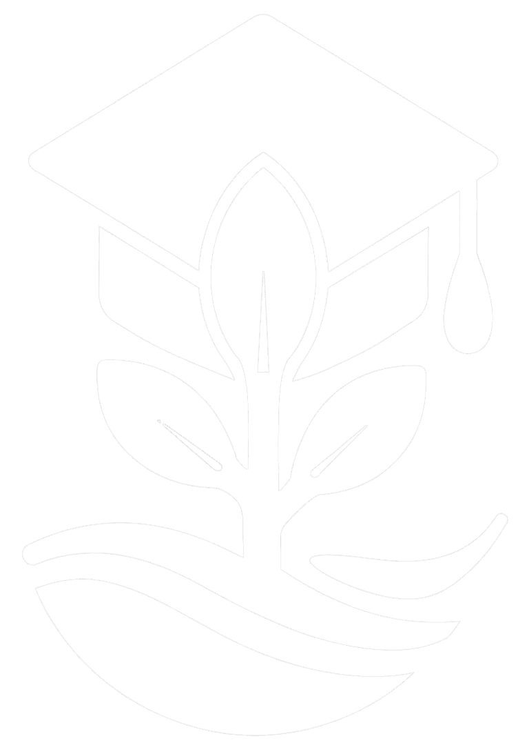 Epiphyte Aquarium Plants Guide: Mount, Care & Grow with Ease